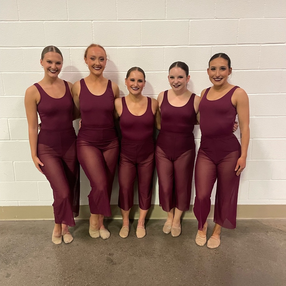 Weissman Burgundy Leotard Thick Straps With Sheer Pan… - Gem